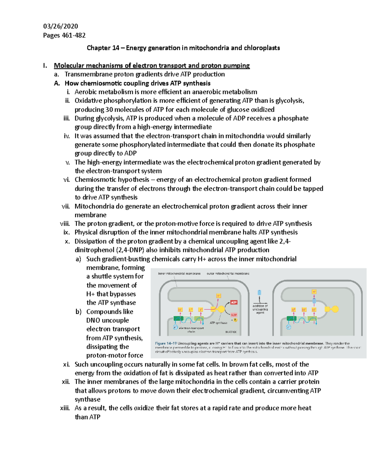 Reading 0326 Energy Generation In Mitochondria And Chloroplasts