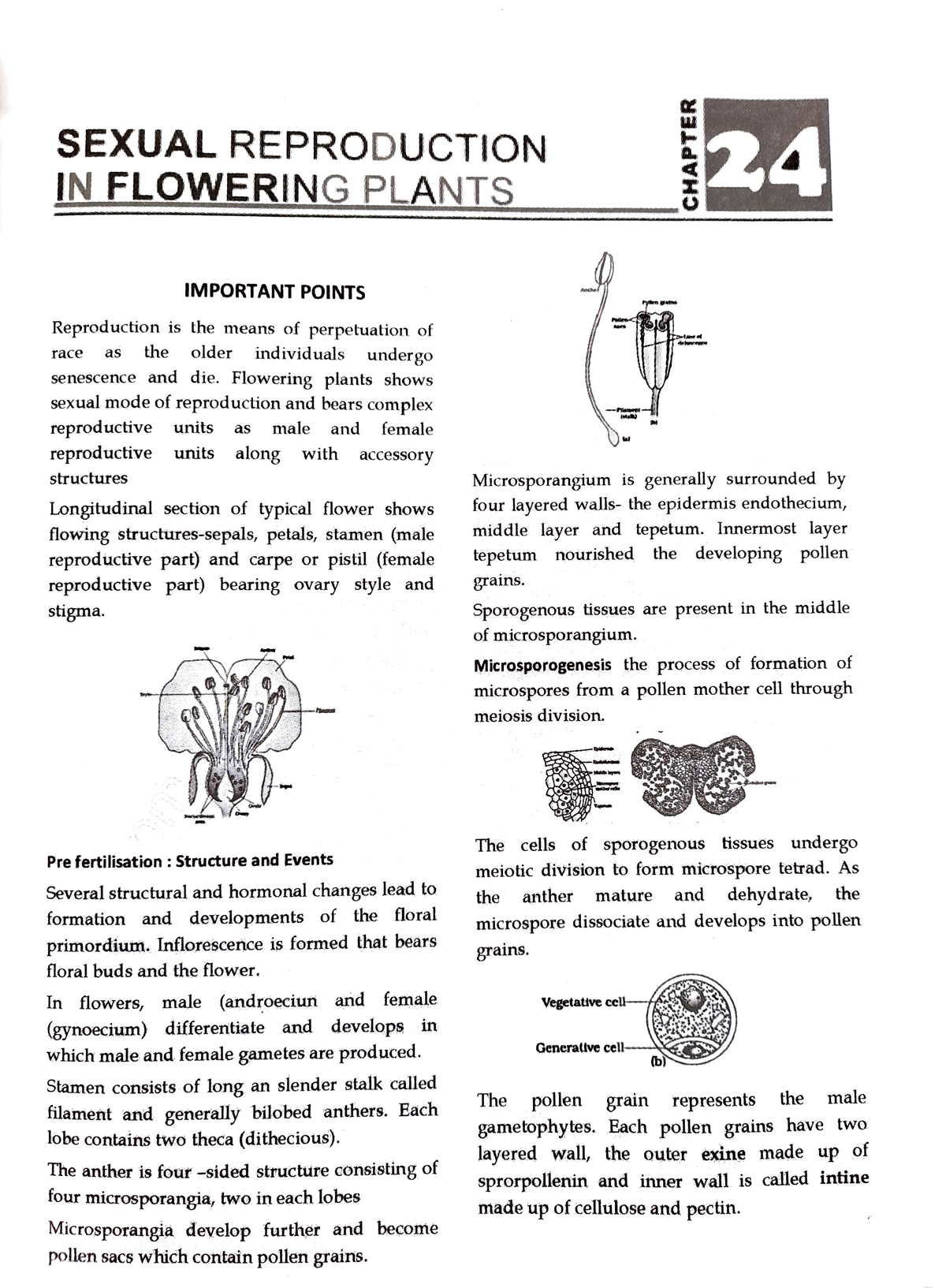 Reproduction In Flowering Plants 24 Sexual Reproduction In Flowering