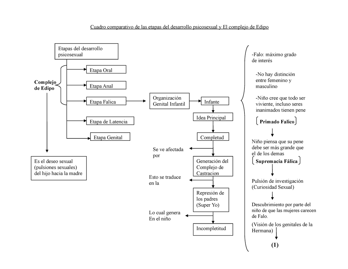 19634981 Esquema De Las Etapas Del Desarrollo Psicosexual Cuadro