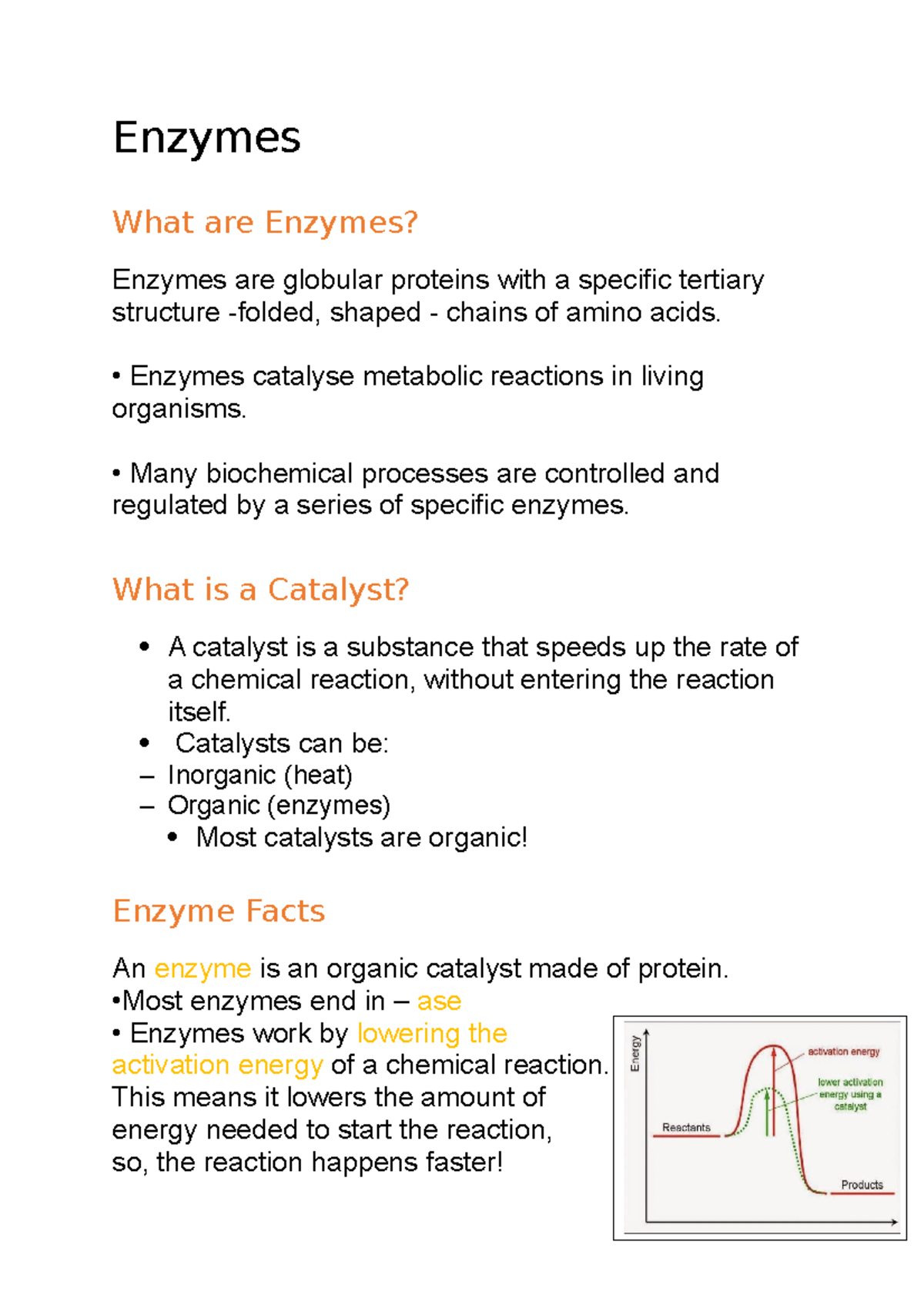 Enzymes Year 11 Biology Unit 1 Topic 1 Enzymes What Are Enzymes