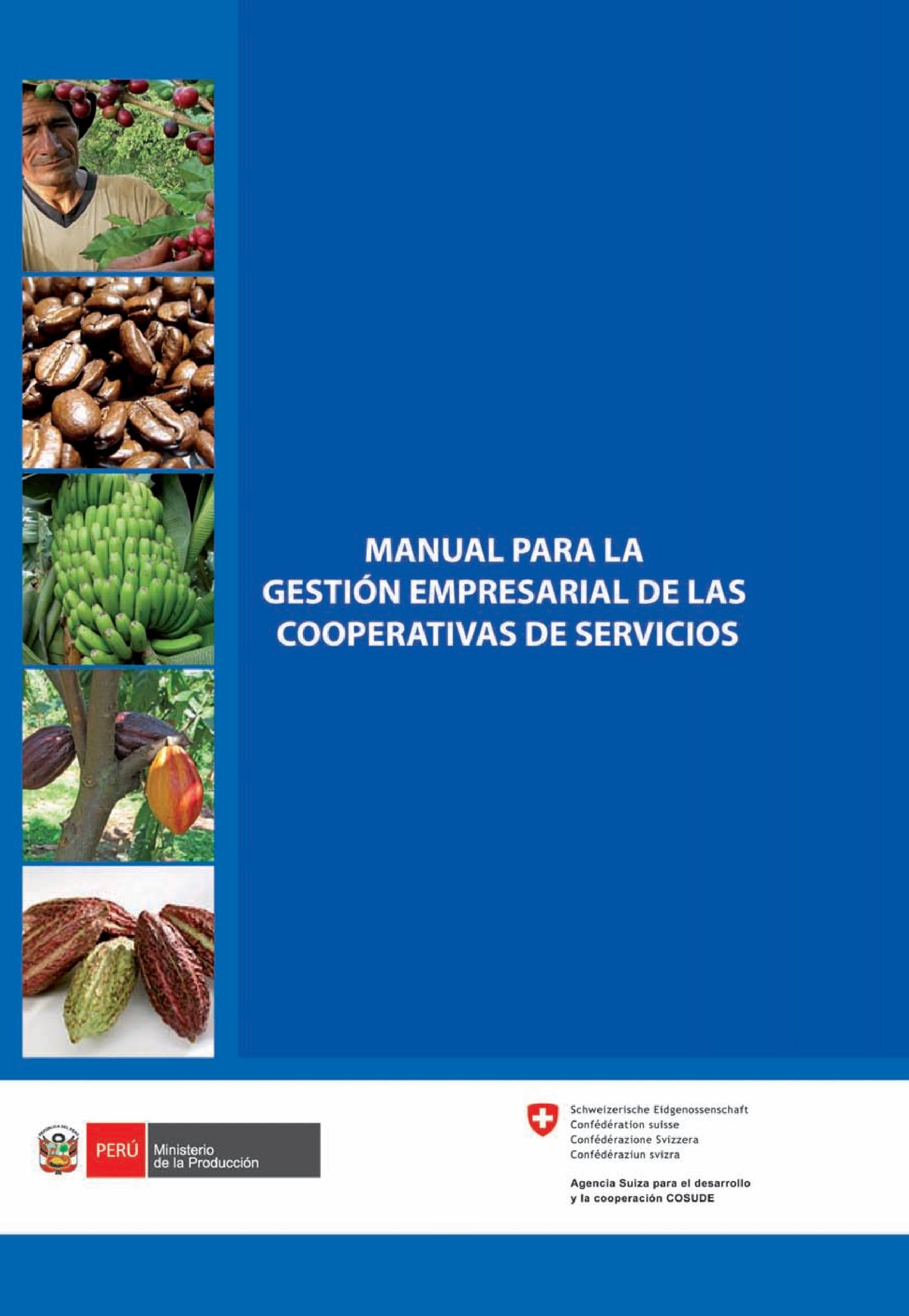 Manual De Cooperativas De Servicios Parte 1 Manual Para La Gestión