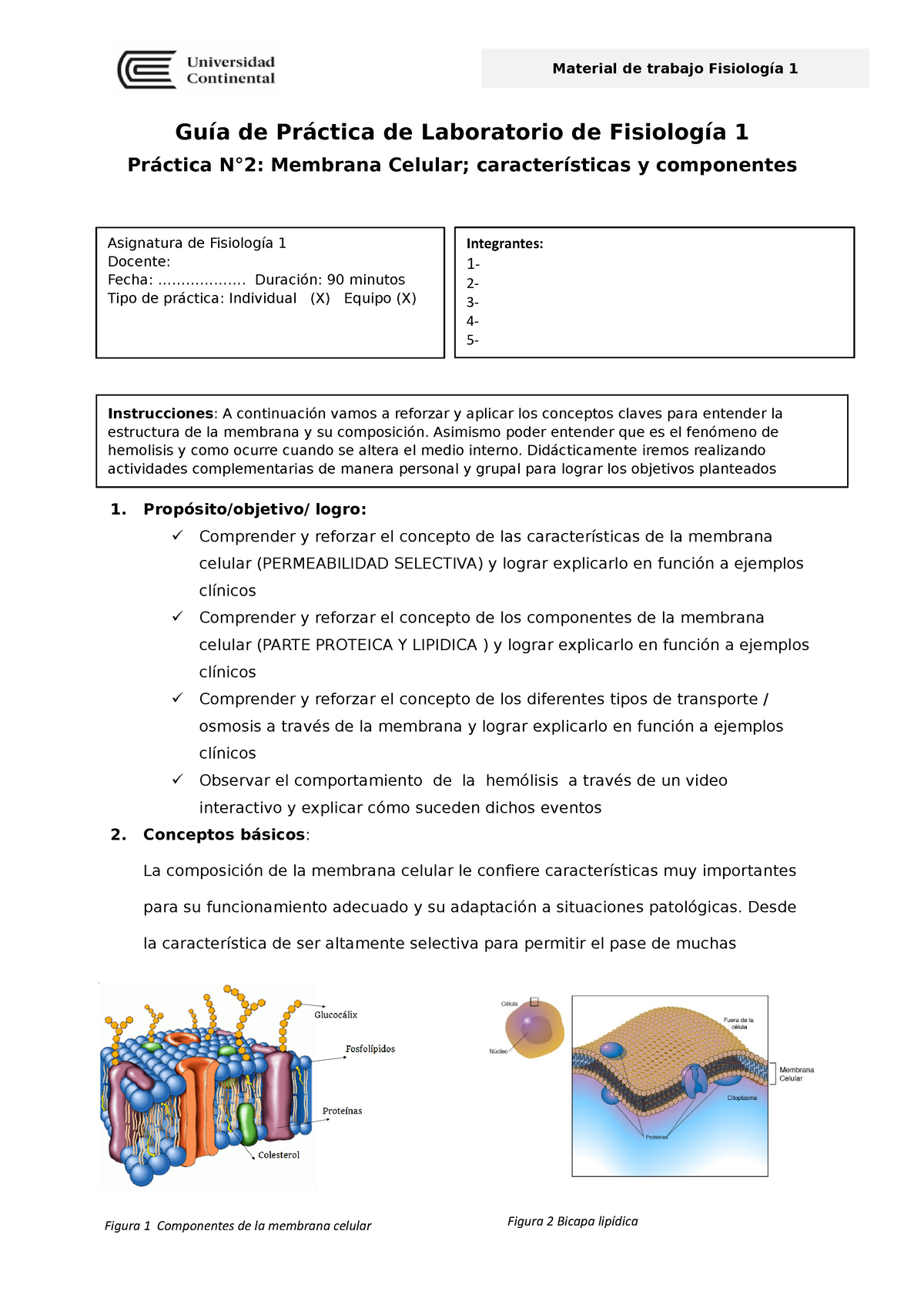 GuÍa N° 2 Guia De PrÁcticas De FisiologÍa 1 Guía De Práctica De