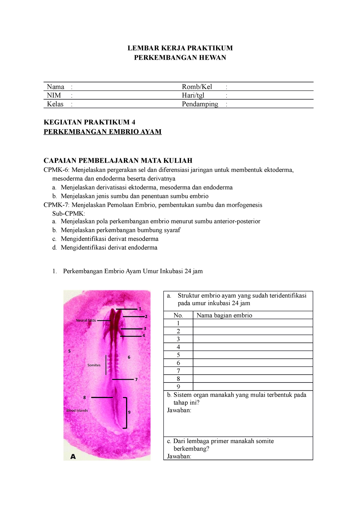 Lembar Kerja Acara Praktikum 4 922174 A35019 Aa53bf84318 A0c2aac1c 1