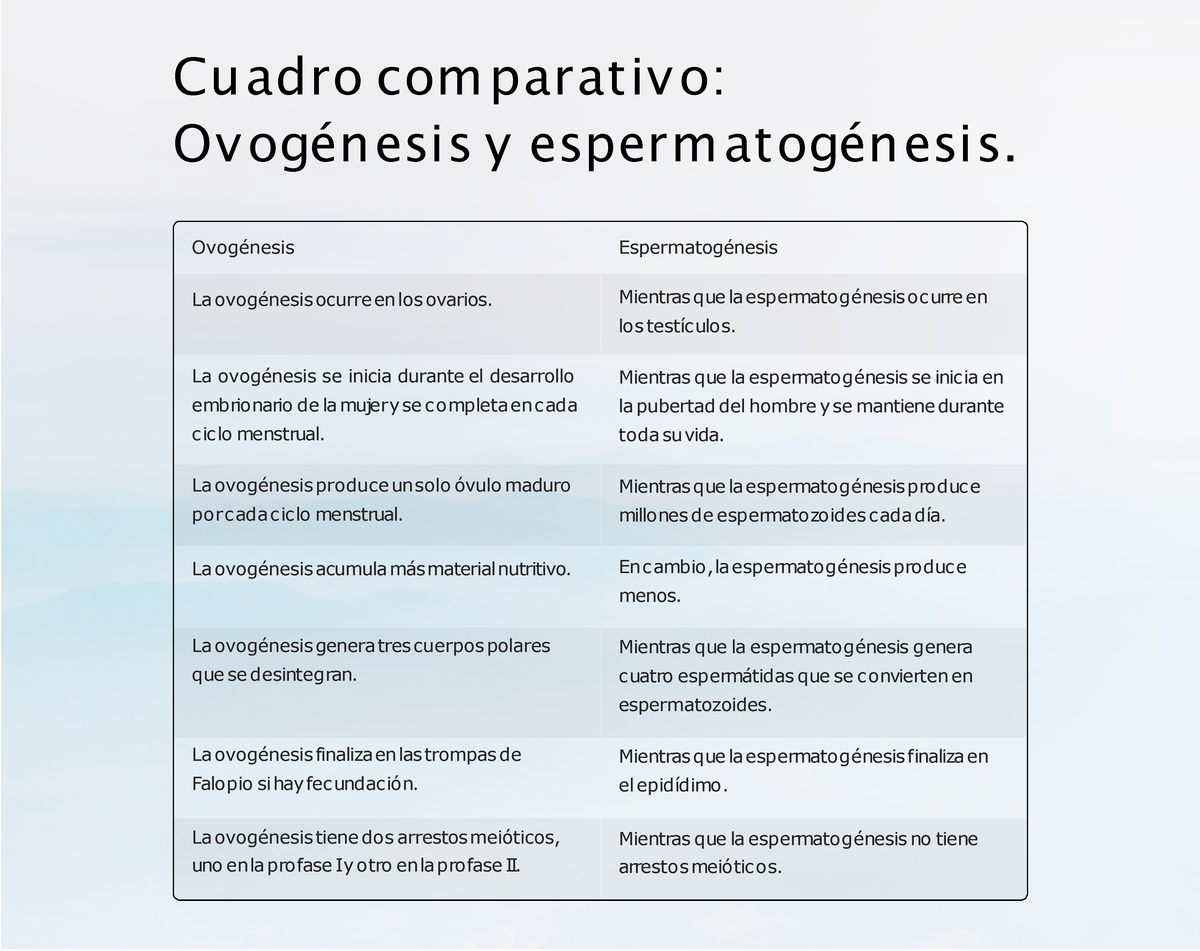 Cuadro Comparativo Ovogenesis Y Espermatogenesis Cuadro Com Parativ O