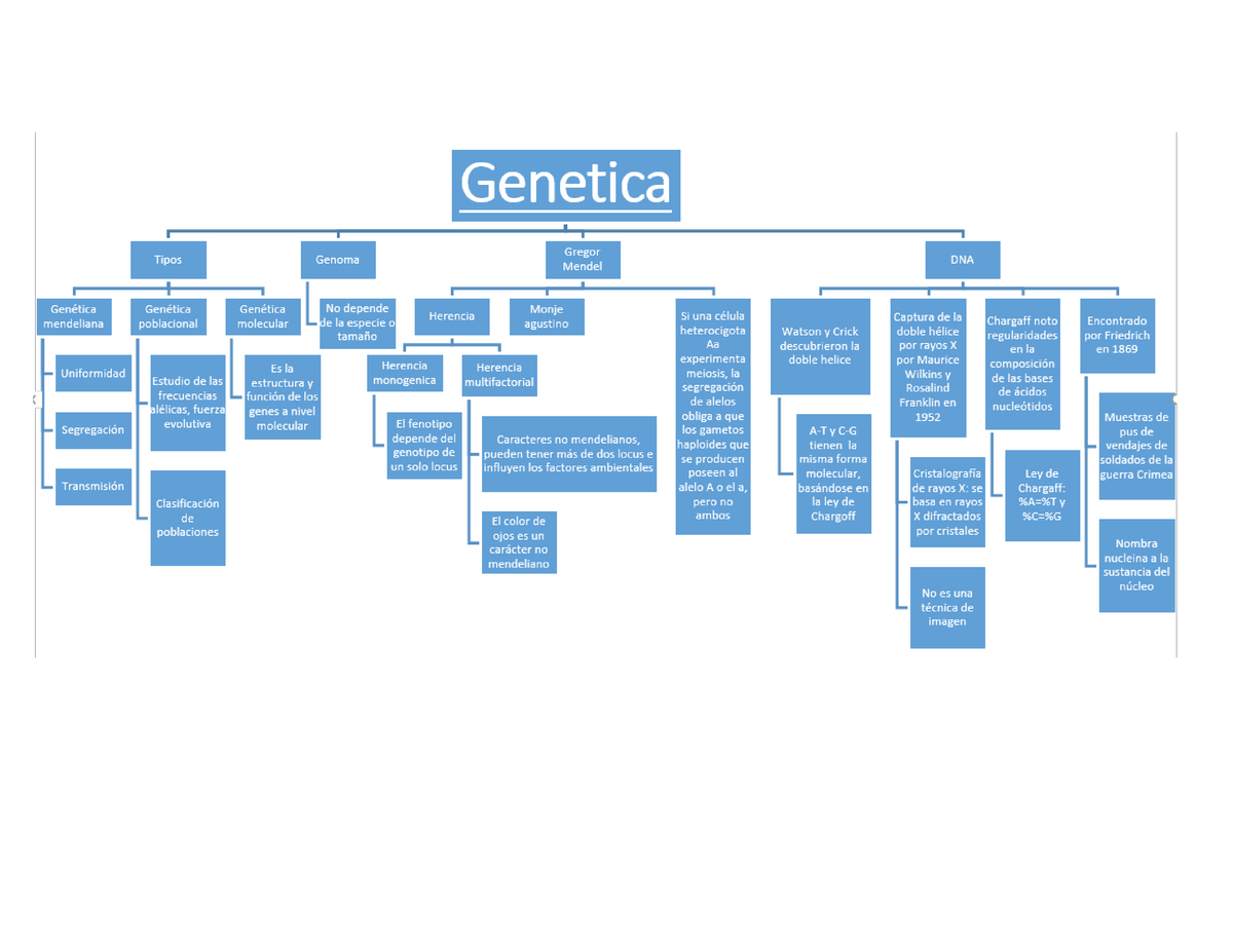 Mapa Conceptual De La Genetica Genética Studocu