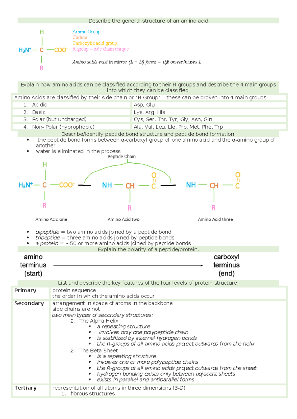 Bioc2101 Notes Describe The General Structure Of An Amino Acid