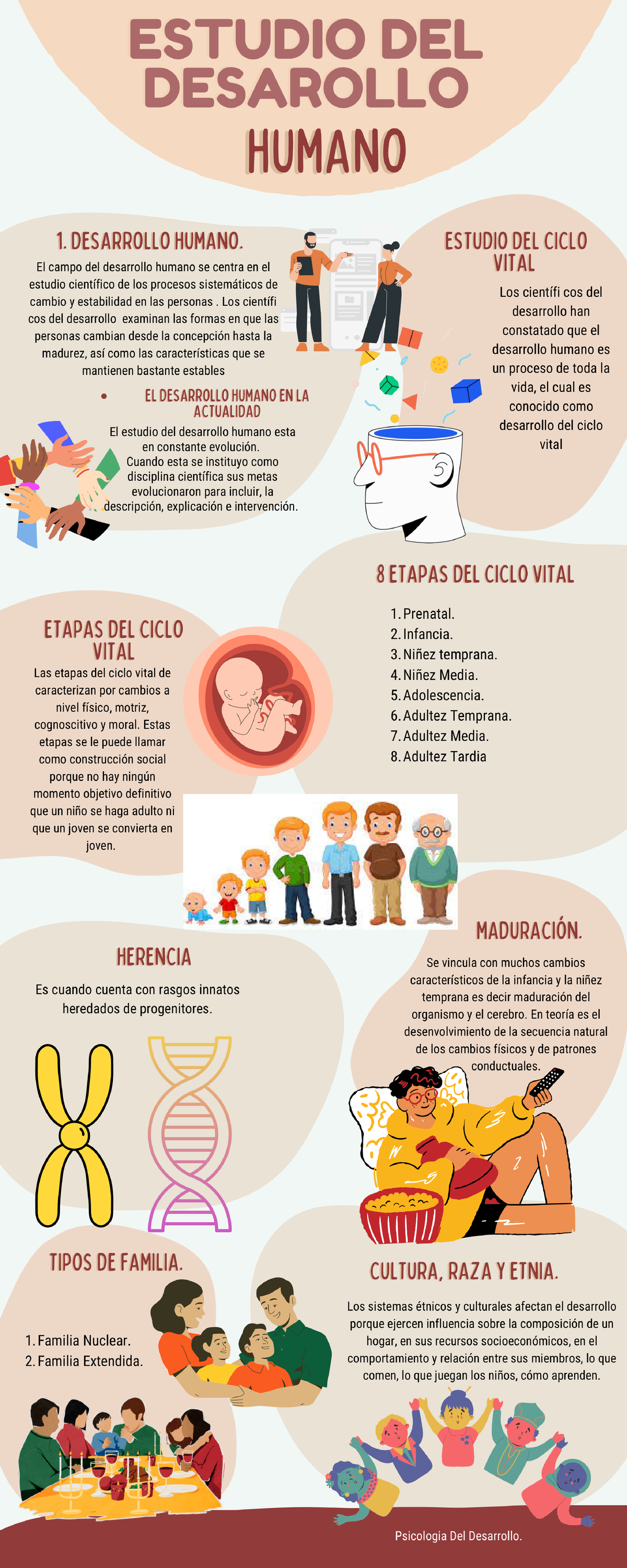 Infografia Estudio Del Desarrollo Humano Psicologia Social Studocu