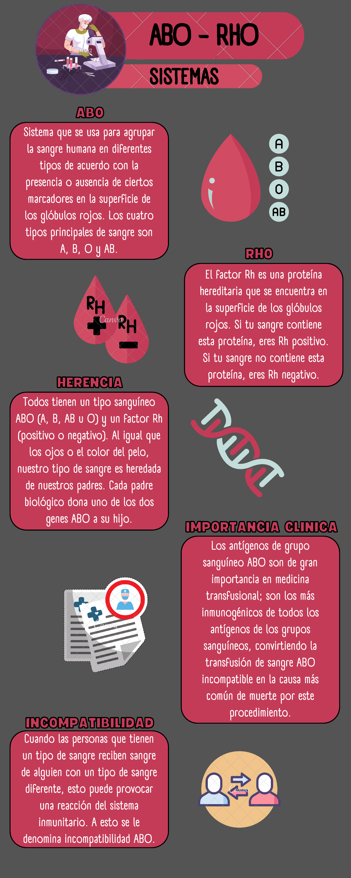 Abo Infograma Sistema Que Se Usa Para Agrupar La Sangre Humana En