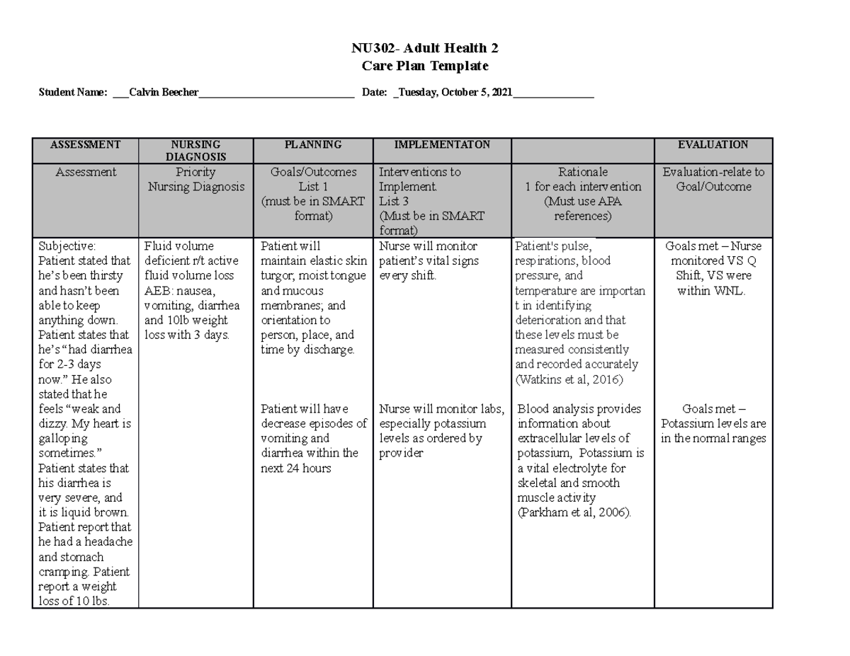 Individualised Care Plan Example