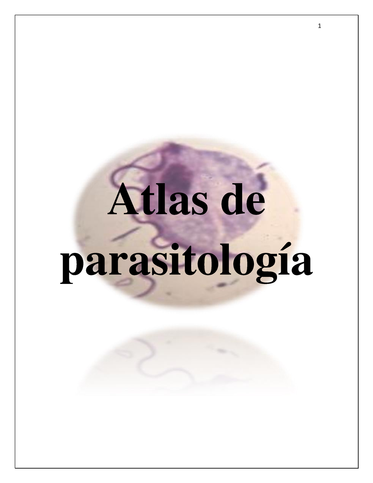 Atlas De Parasitologia 2018 Atlas De Parasitología Atlas De