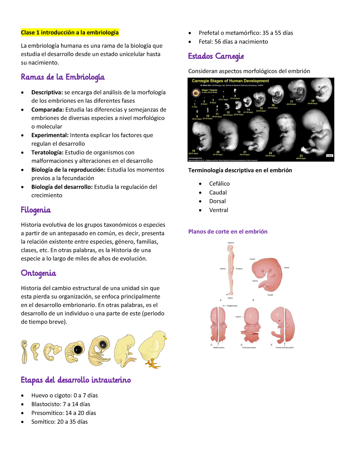 Embriologia Y Genetica S1 Embriología Y Genética Uss Studocu