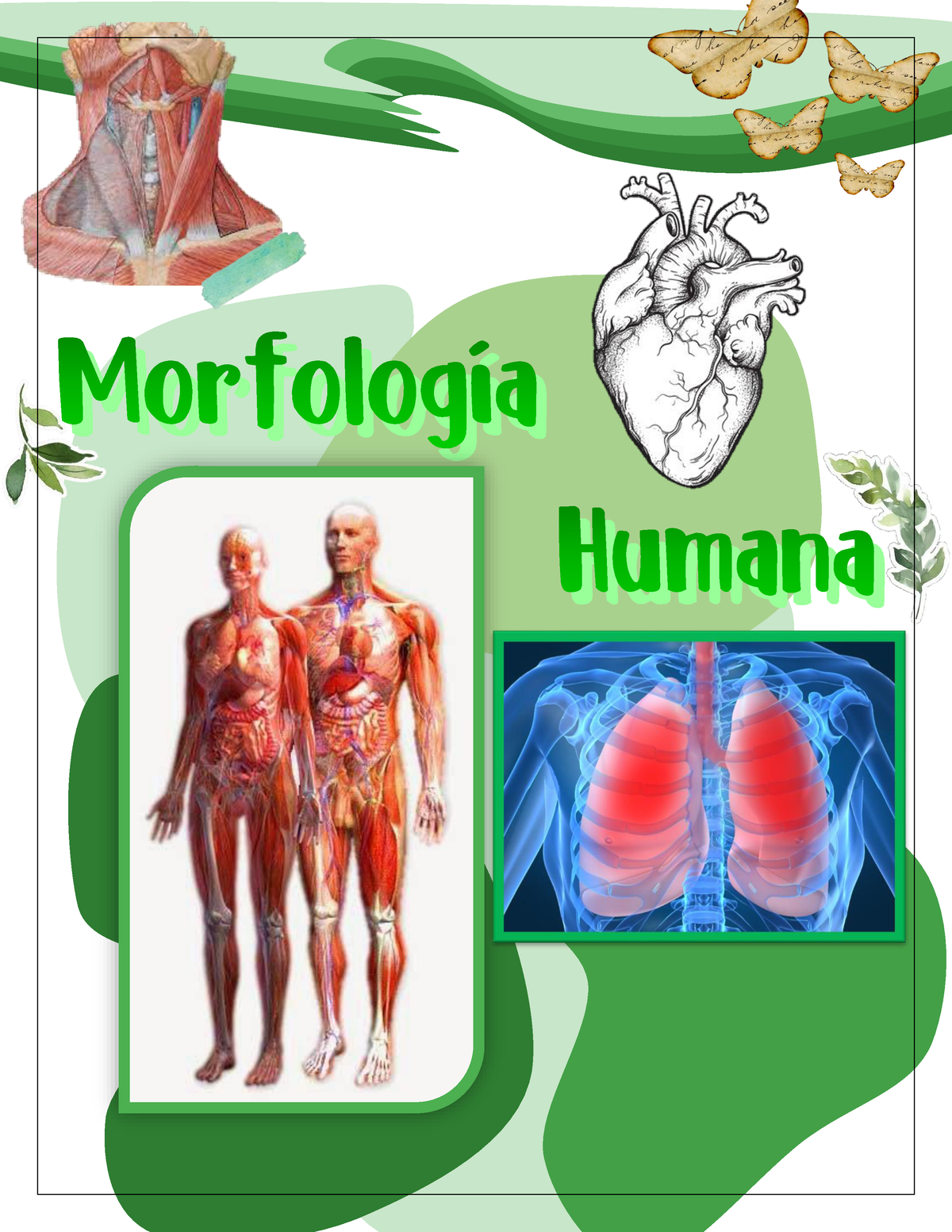 Mapa Conceptual De La Morfologia Urbana Pdf Document