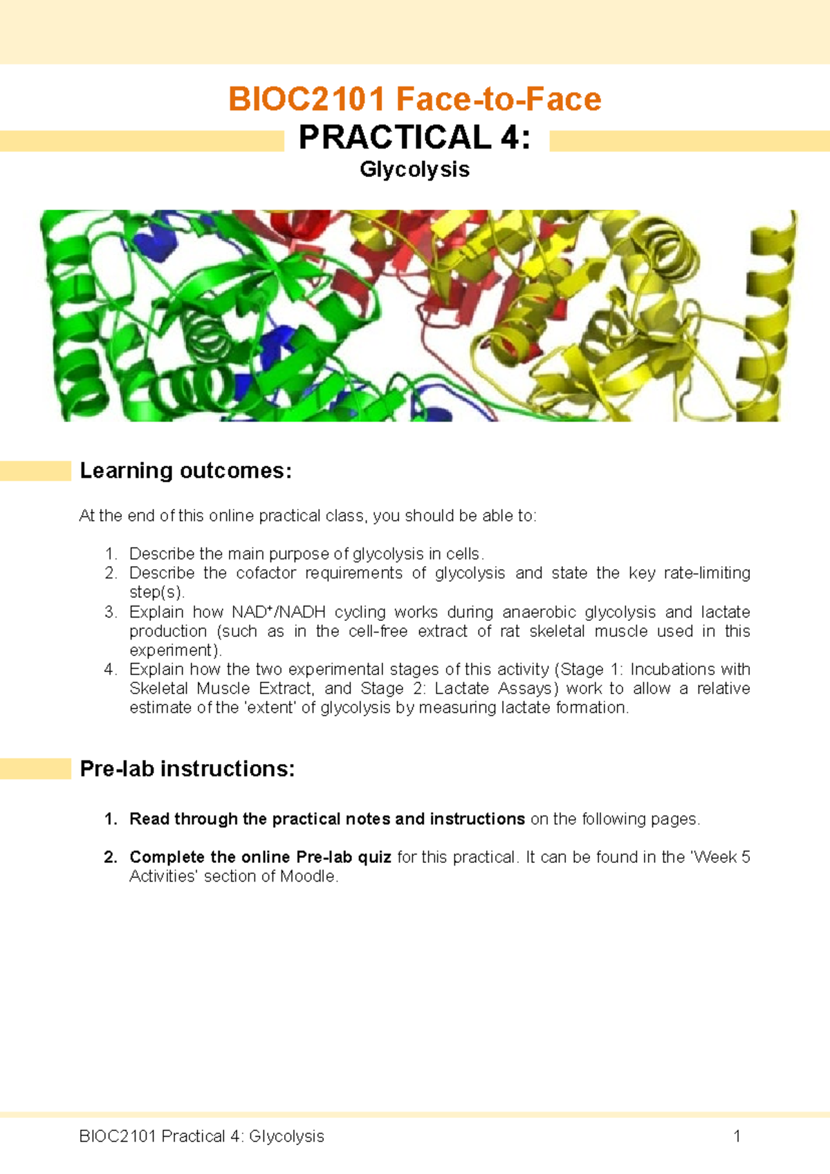 Bioc2101 Prac 4 Notes Glycolysis Final Bioc2101 Face To Face