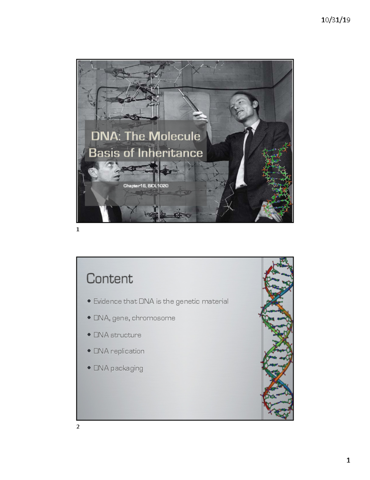 Chapter 16 Dna Student Chapter16 Biol 1 Evidence That Dna Is