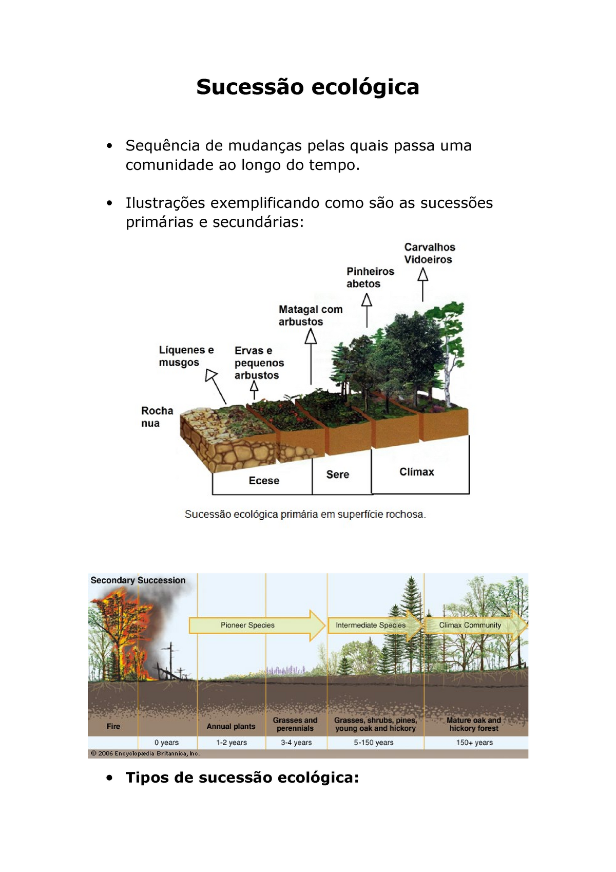 Sucessão Ecológica Sucessão Ecológica Sequência De Mudanças Pelas