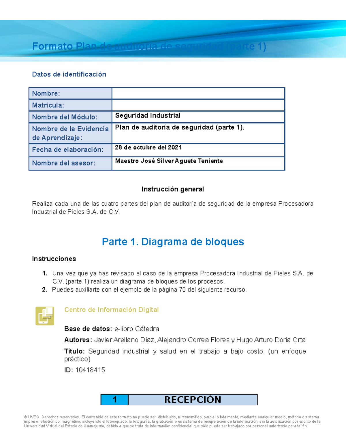 Formato Plan De Auditoría De Seguridad Fecha De Elaboración 28 De