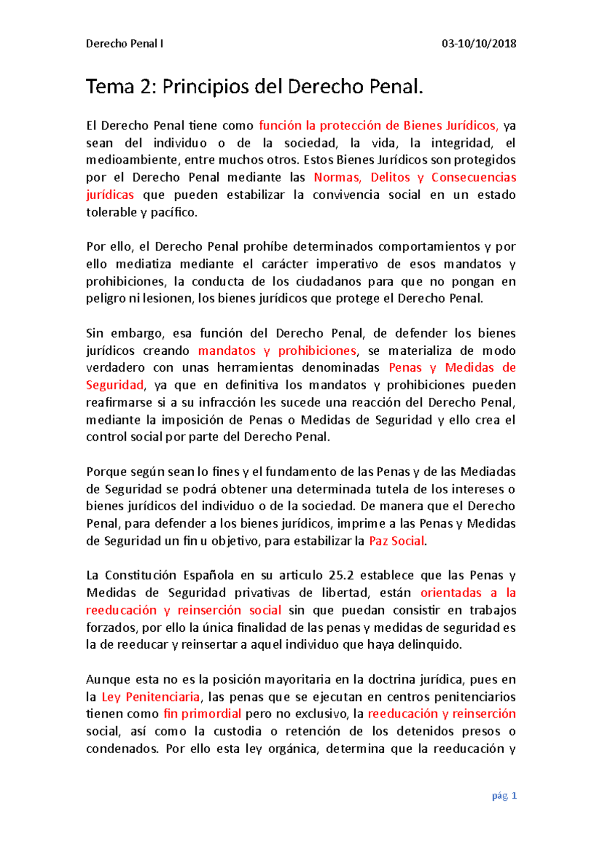 Derecho Penal I 2º Teoría Tema 2 Principios Del Derecho Penal El