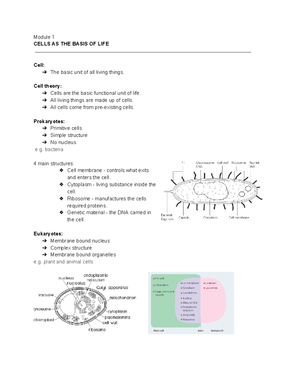 Biology Cells As The Basis Of Life Module One Module 1 Cells As