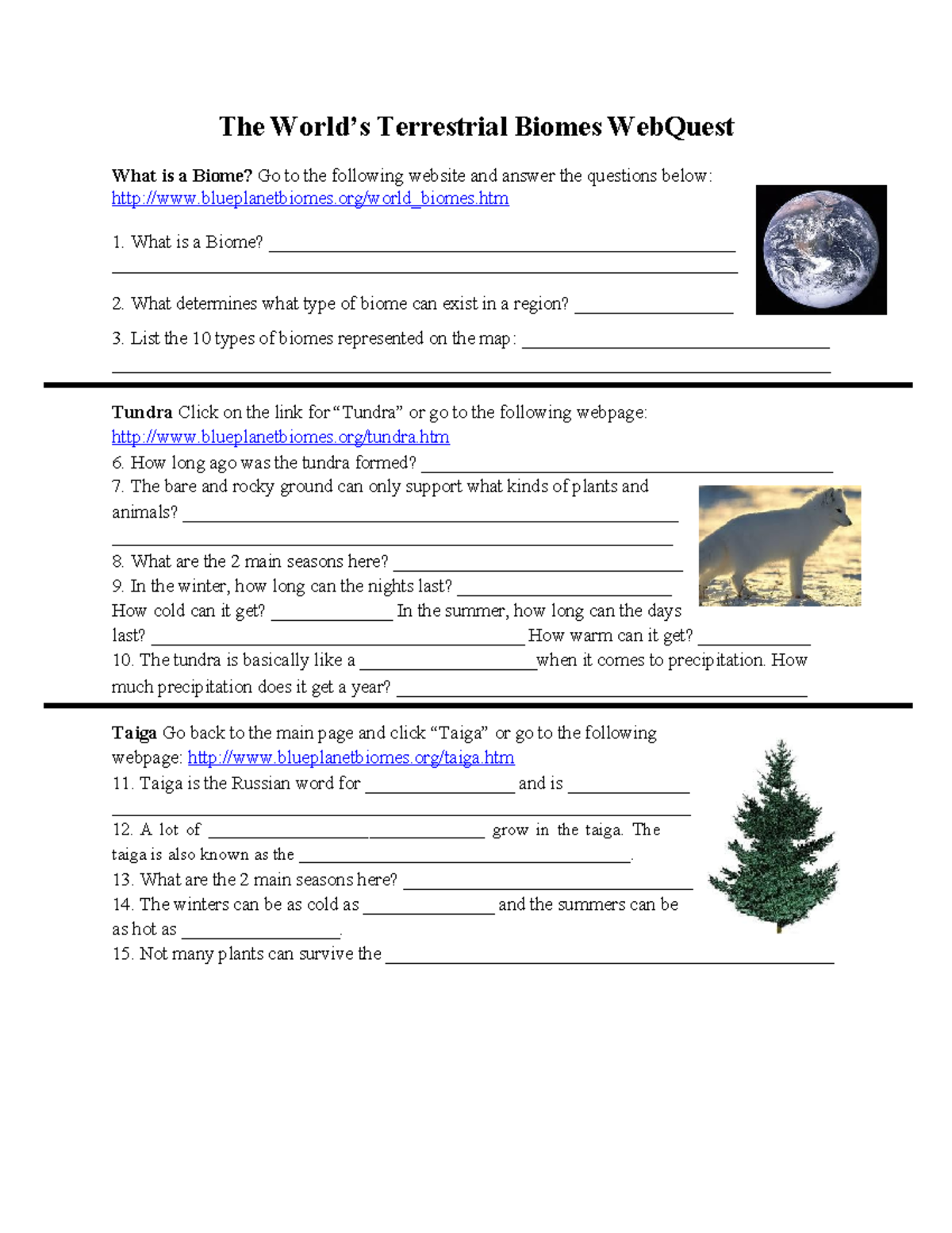 Biome Webquest Assigment The Worlds Terrestrial Biomes Webquest