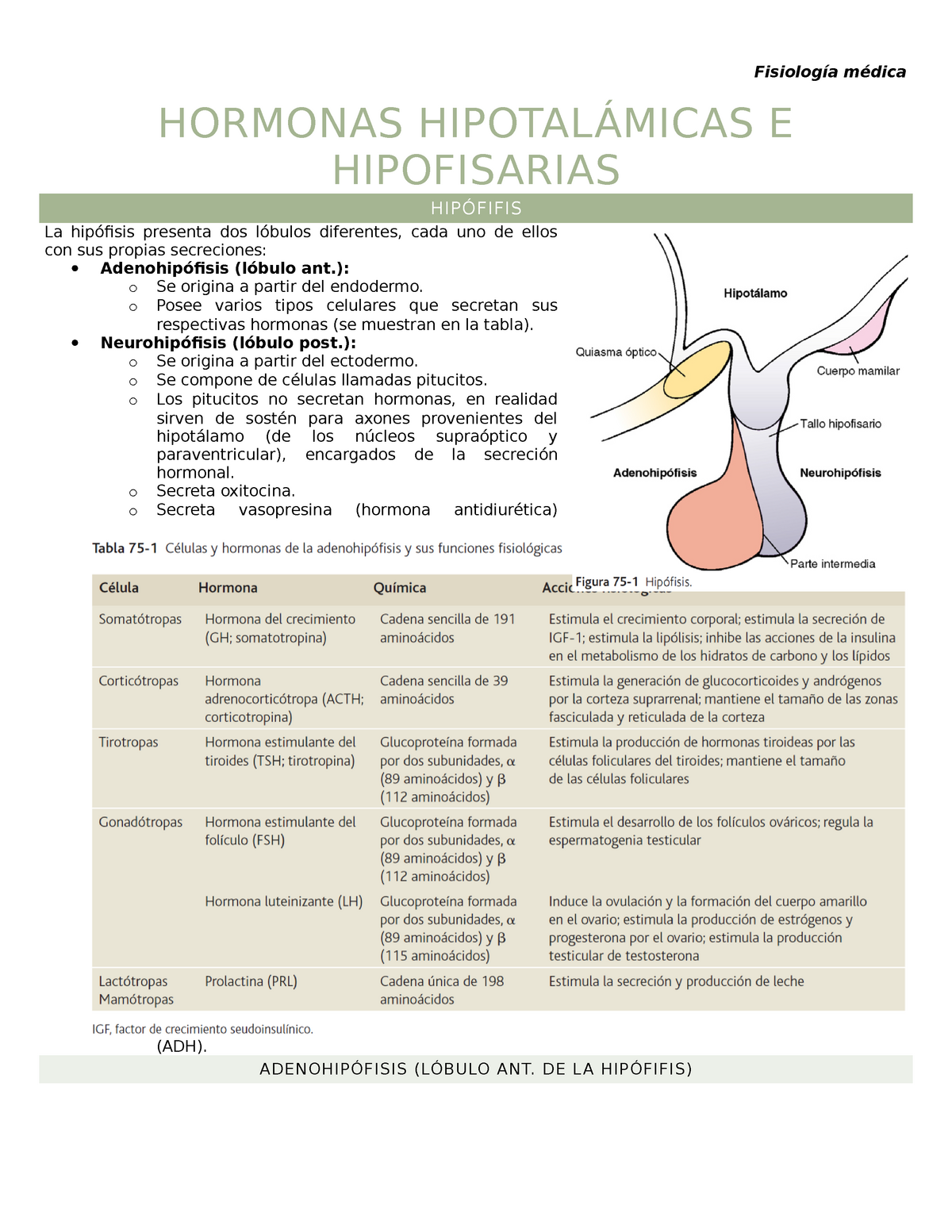 Hormonas Hipotalámicas E Hipofisarias Fisiología Médica Fisiología