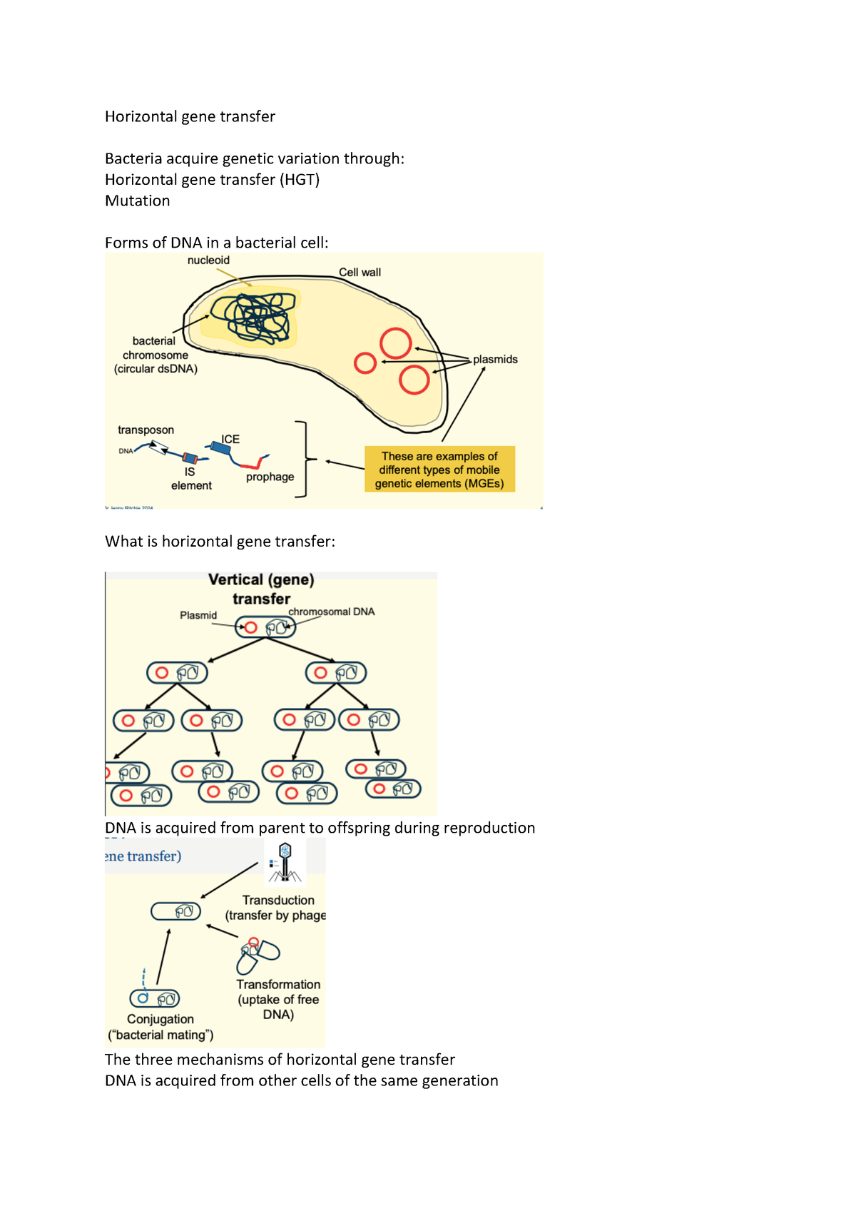 Horizontal Gene Transfer Horizontal Gene Transfer Bacteria Acquire