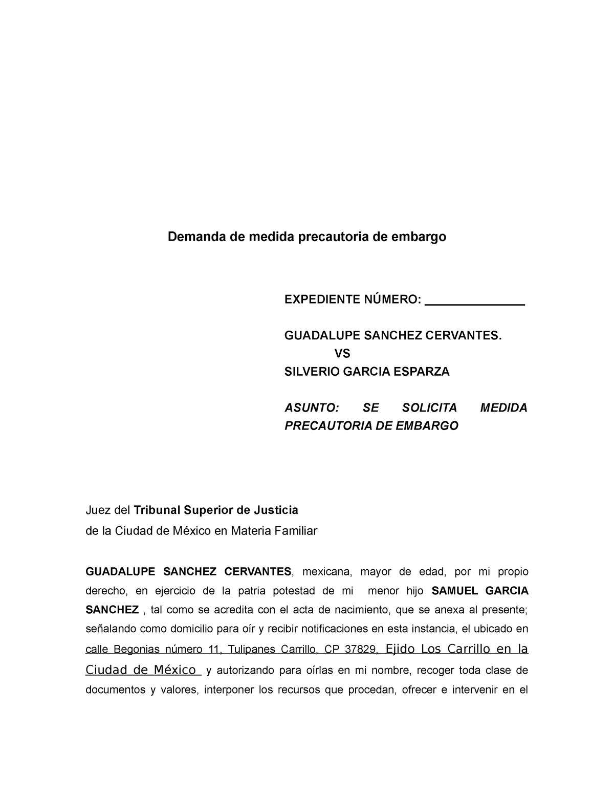 Solicitud De Embargo Precautorio Demanda De Medida Precautoria De