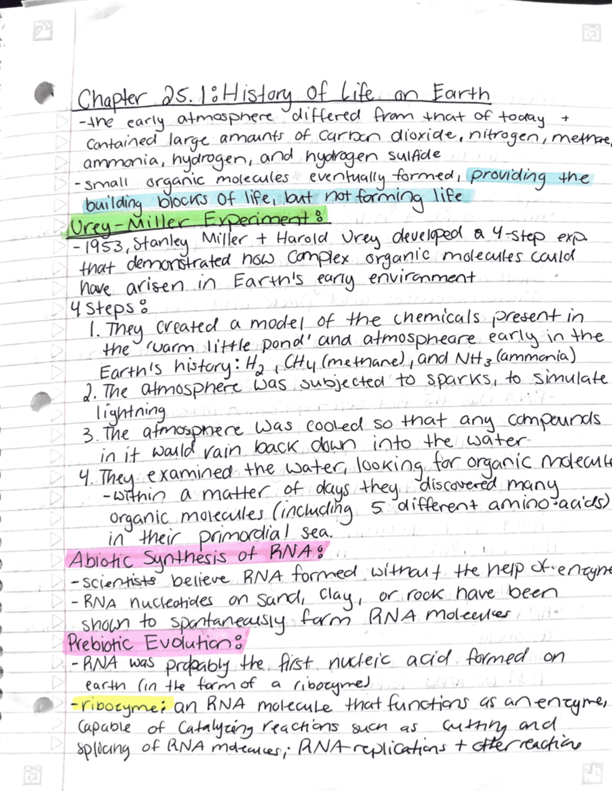 Biology Notes Chapter 25 Bio 151 Studocu