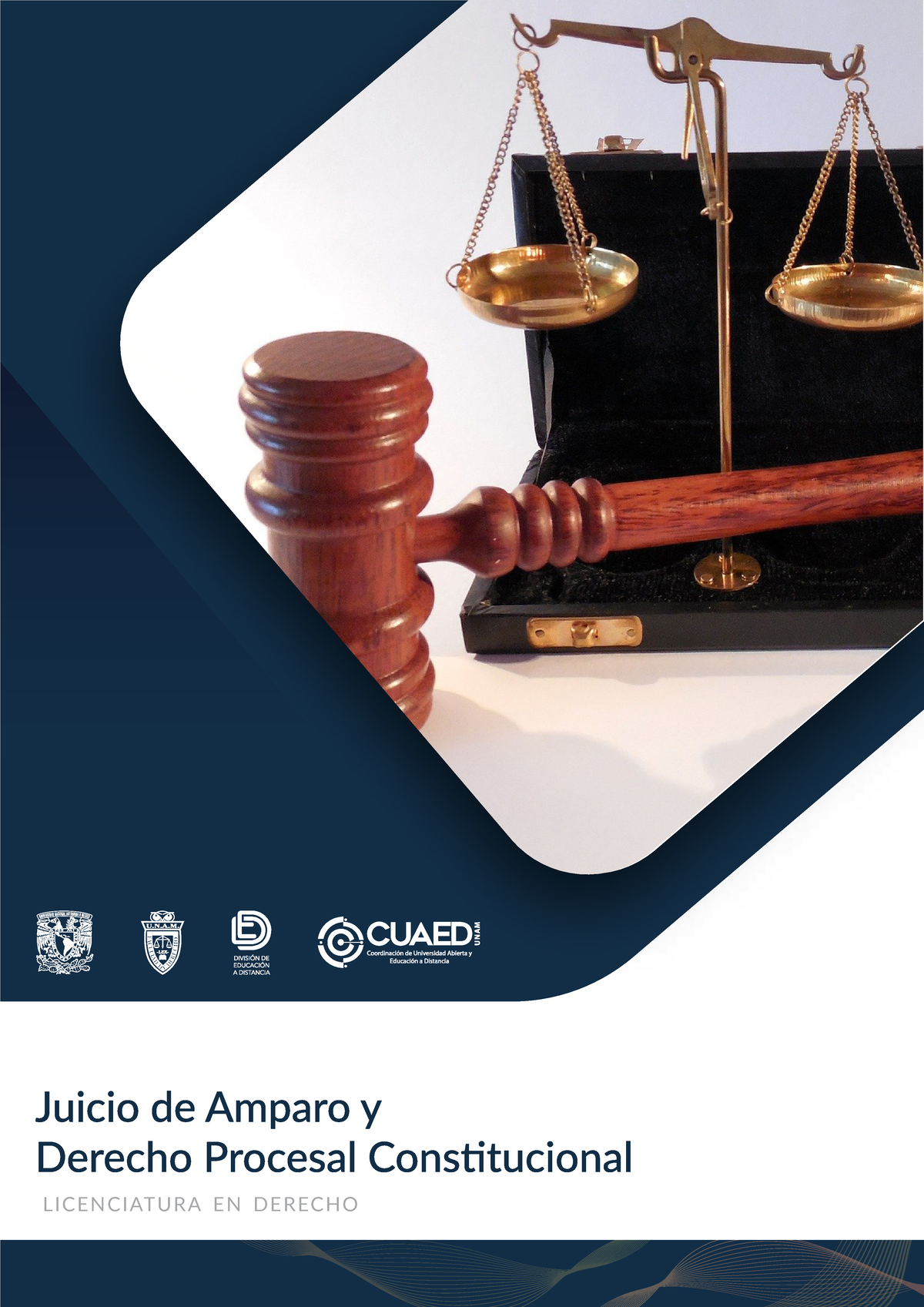 Infografía U9 Infografia Unidad 9 De Juicio De Amparo Y Derecho