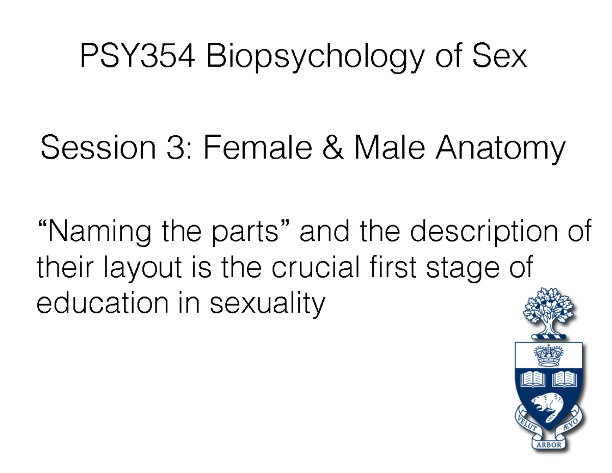 Anatomy Slides Review Psy354 Biopsychology Of Sex Session 3 Female