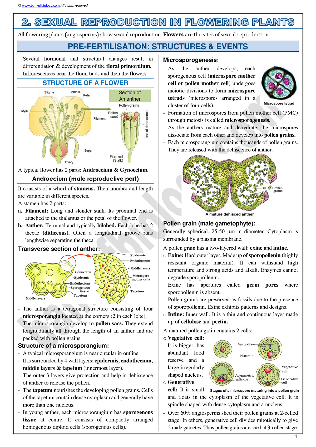 2 Sexual Reproduction In Flowering Plants Notes All Flowering Plants