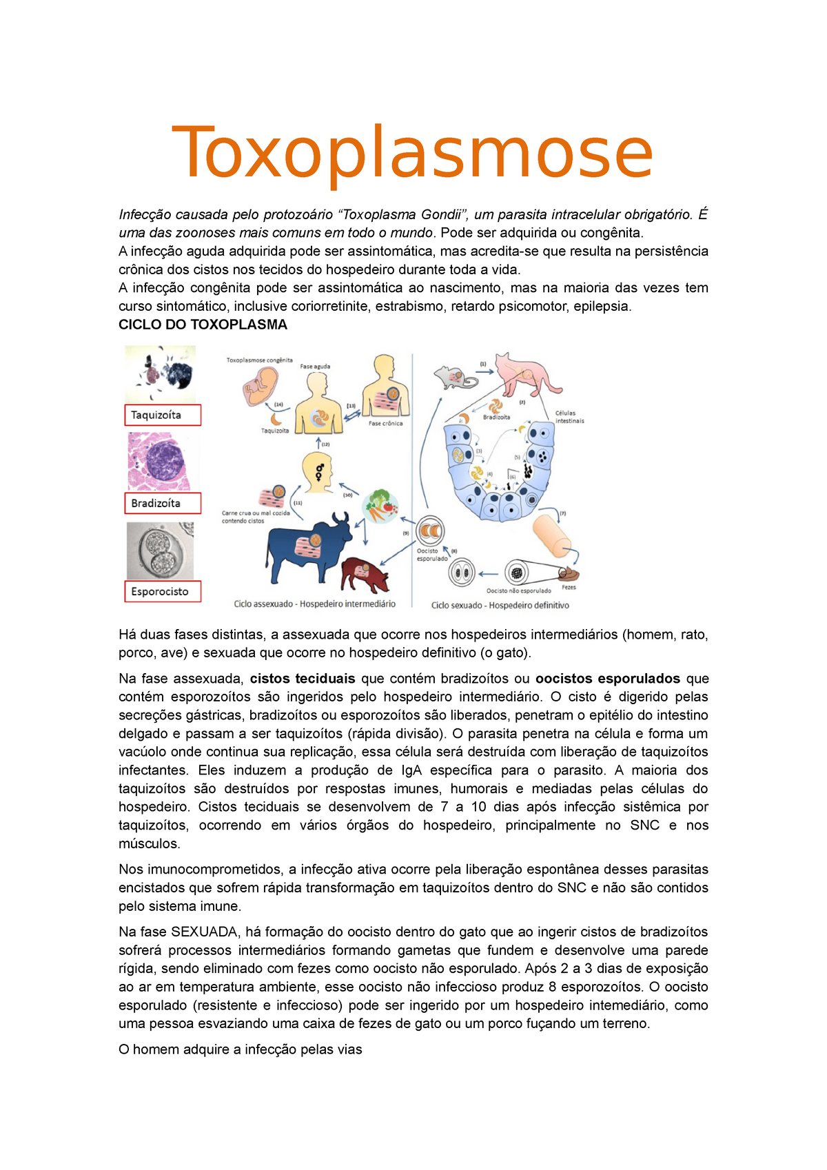 Toxoplasmose Resumo Para Tutoria De Infectologia Do 8° Período