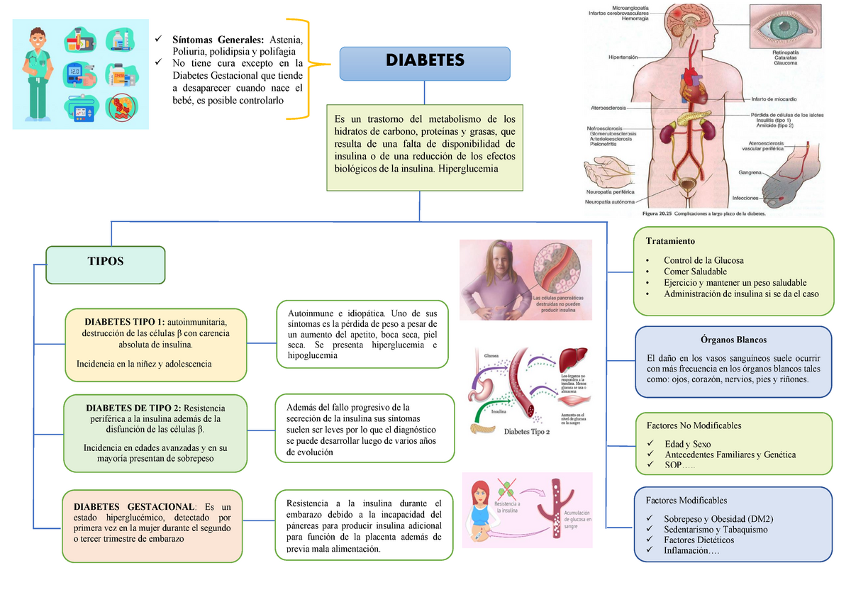 Diabetes Mapa Mental Apuntes 1 Diabetes Es Un Trastorno Del