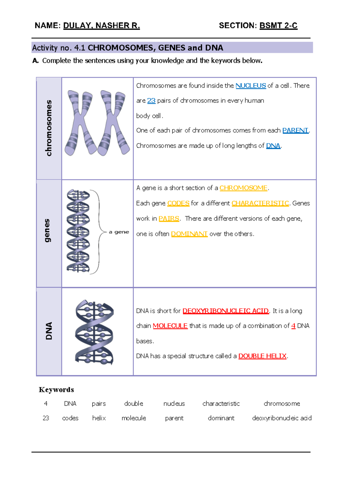 Activity No 41 Chromosomes Genes And Dna Name Dulay Nasher R