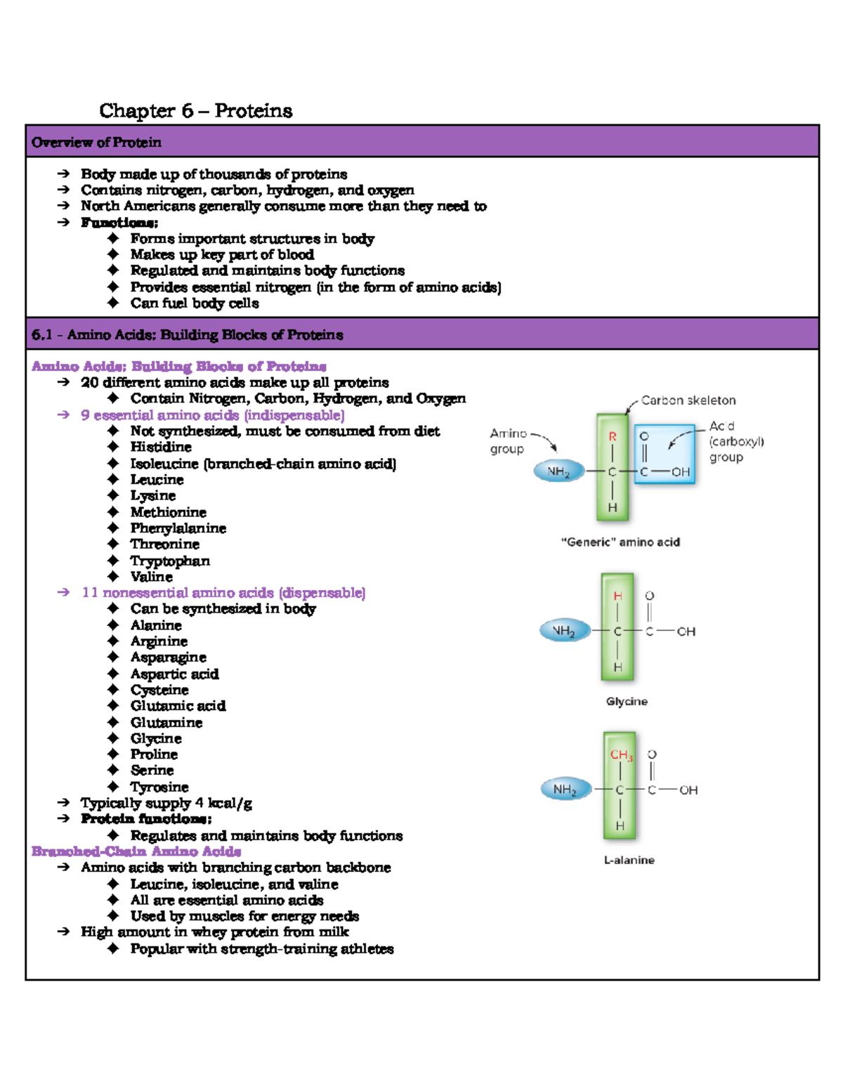 Bio 112 Chapter 6 Notes Proteins Chapter 6 Proteins Overview Of