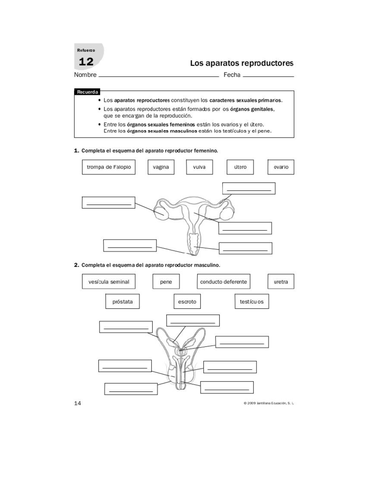 Actividad De Aprendizaje Aparato Reproductor Femenino Y Masculino