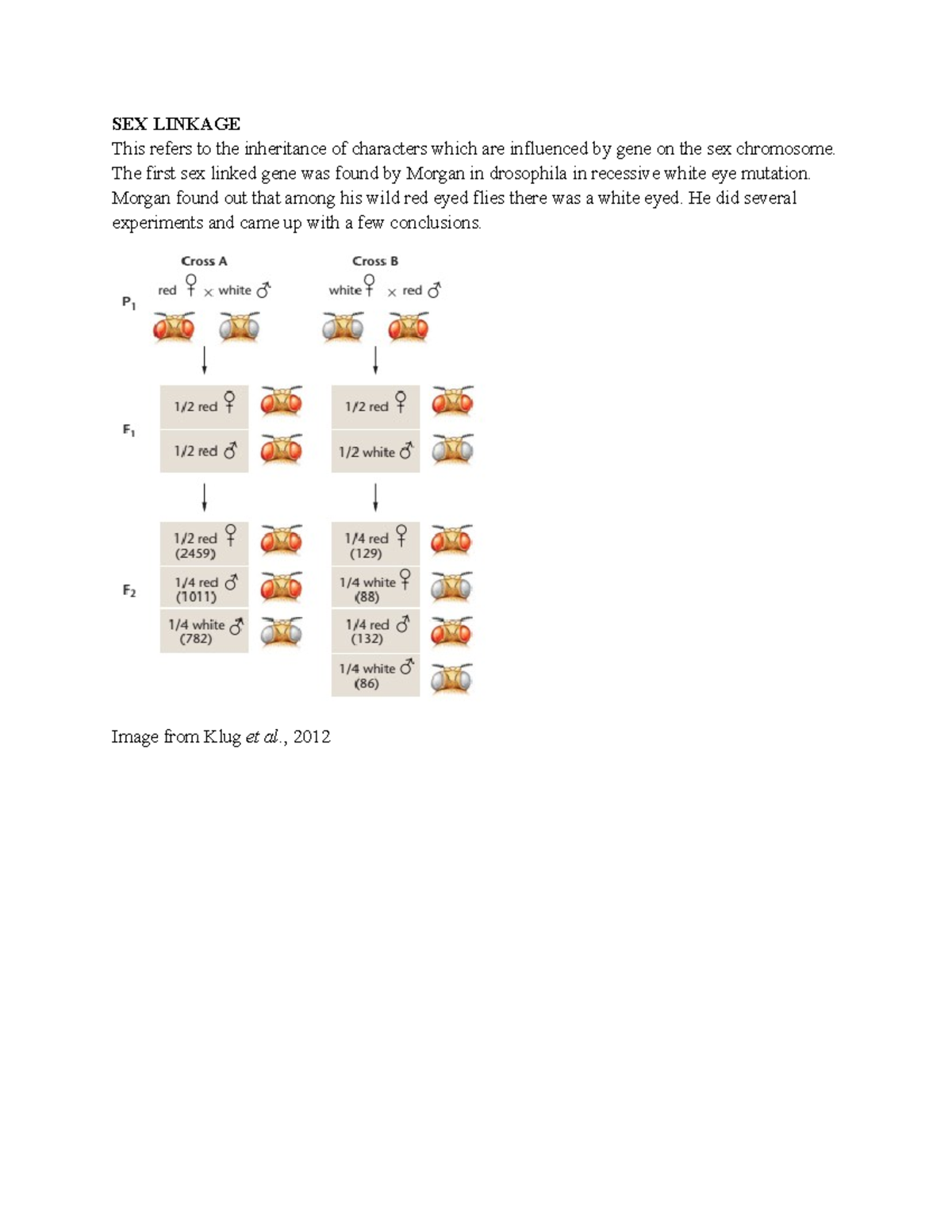 Sex Linkage Abo Blood Grouping And Gene Mapping Sex Linkage This