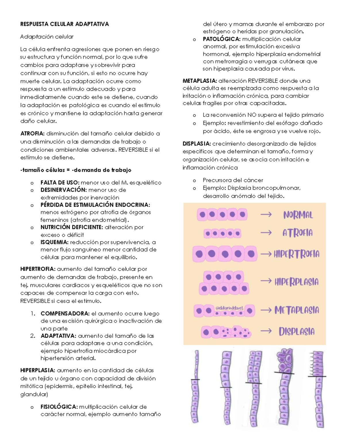 Resumen Fisiopatología Solemne 2 Respuesta Celular Adaptativa