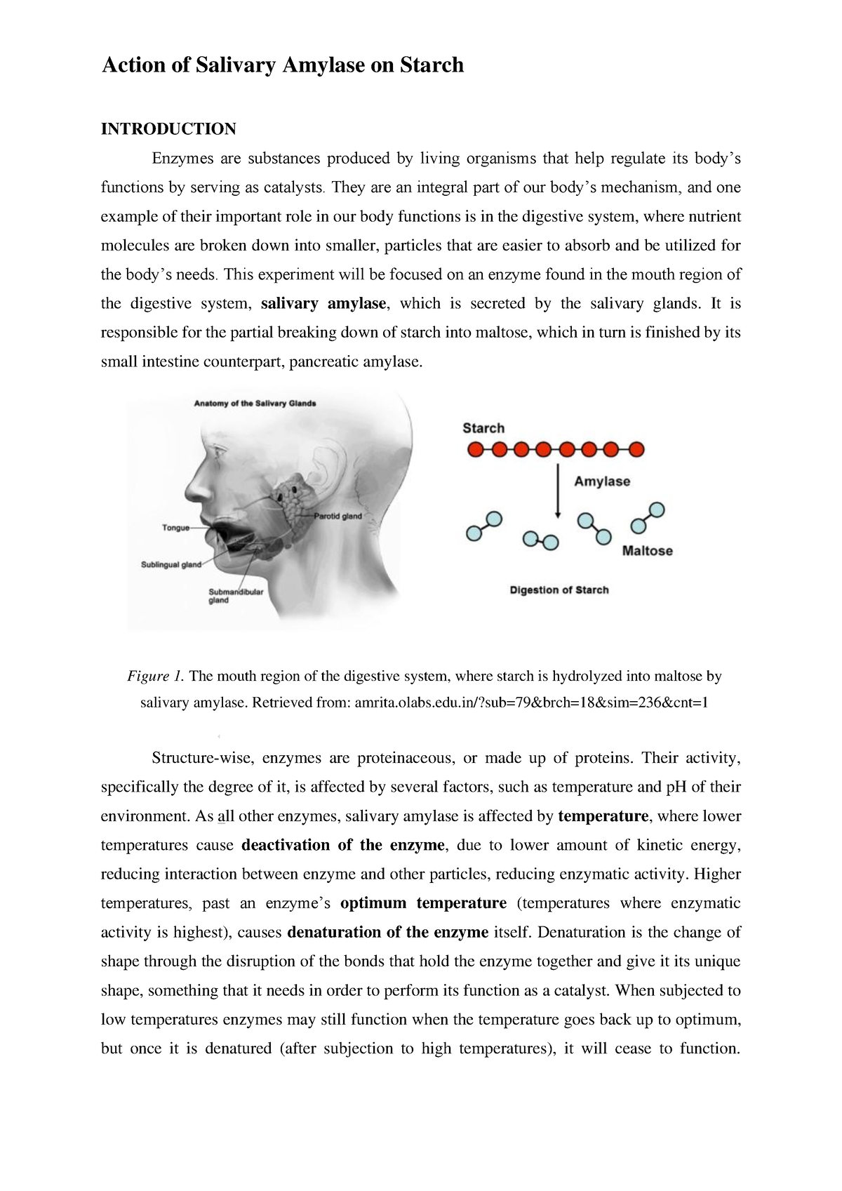 Lec 6 Action Of Salivary Amylase On Starch Action Of Salivary Amylase