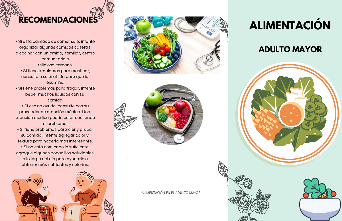 Triptico De Alimentacion Saludable Pdf Nutrientes Ali