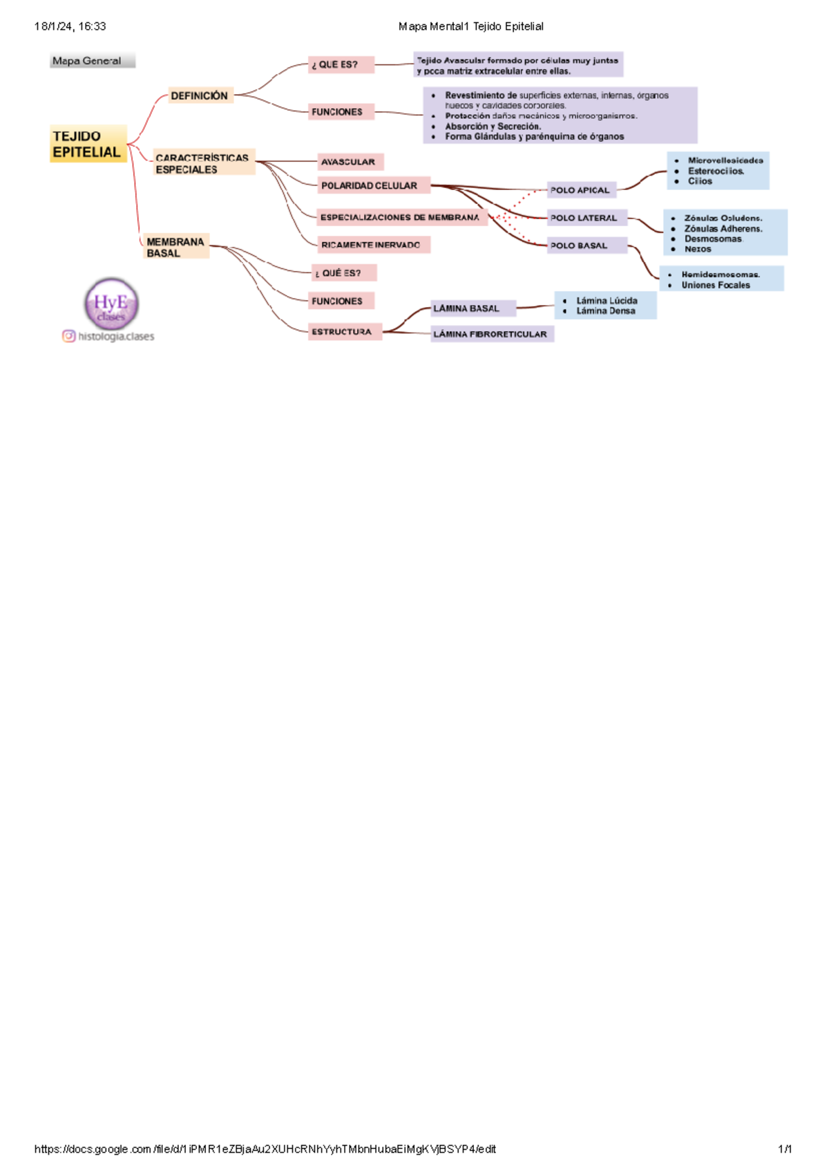 Mapa Mental 1 Tejido Epitelial Histología Y Embriología Studocu