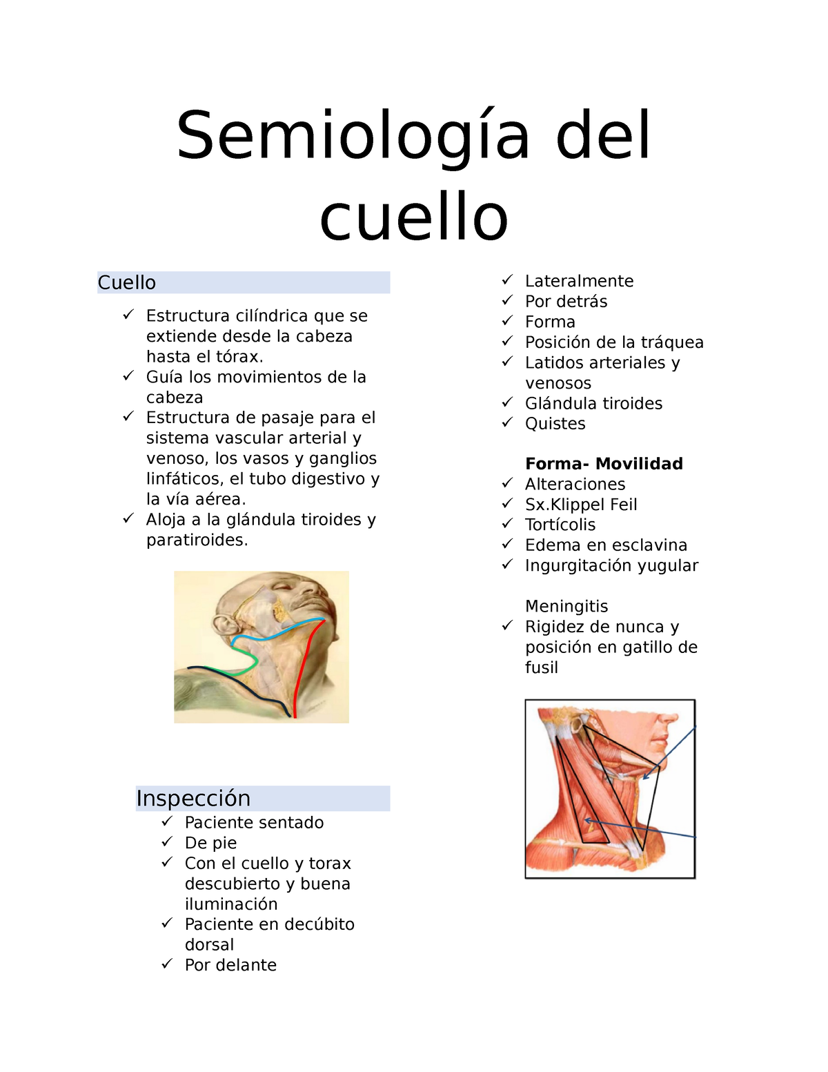 Semiologia Medica Del Cuello Semiologia Semiología Del Cuello Cuello