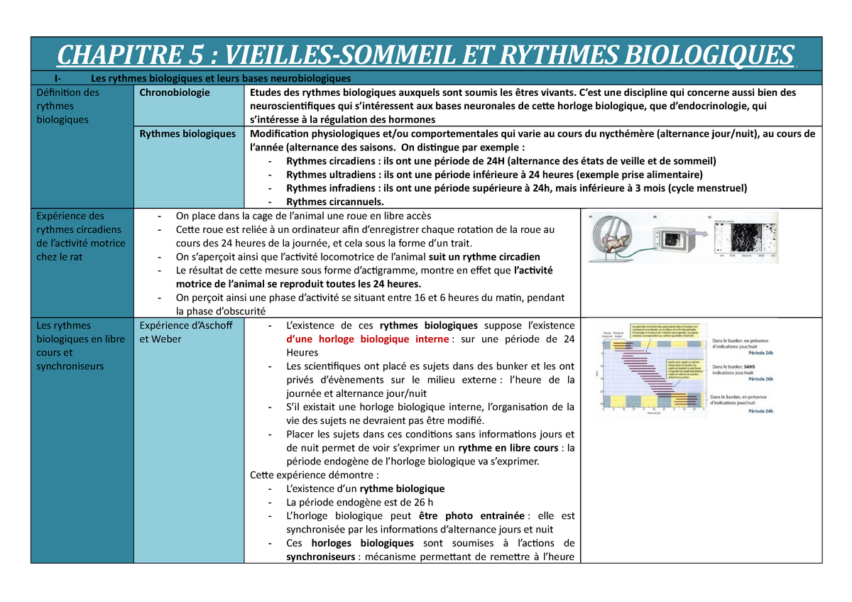 Fiche Révision Rythme Circadien Chapitre 5 Vieilles Sommeil Et