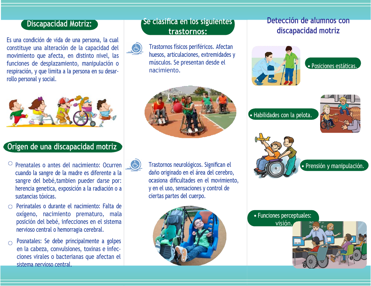 Triptico Discapacidad Motriz Discapacidad Motriz Es Una Condición De