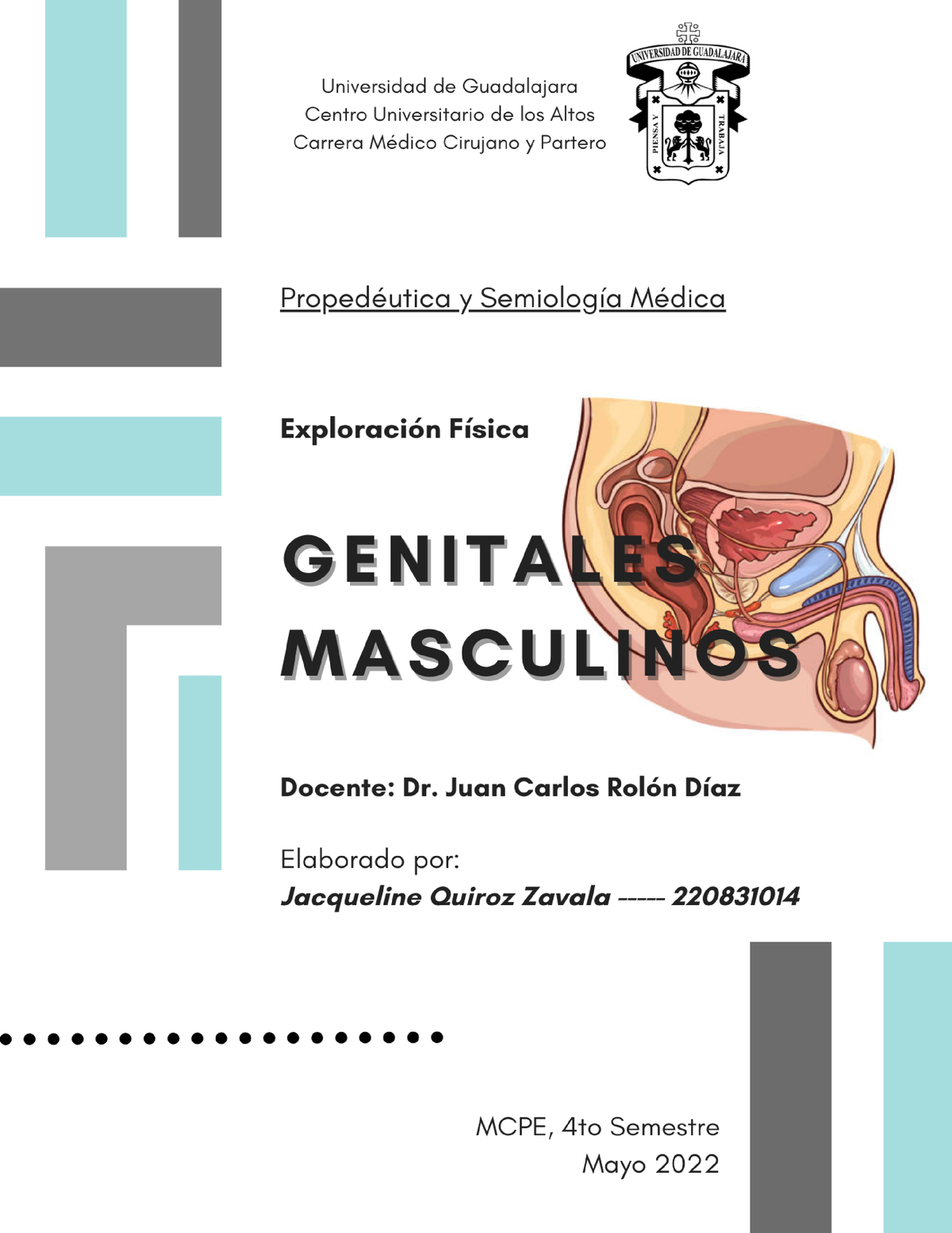 Exploración Física De Genitales Masculinos Mapa Conceptual