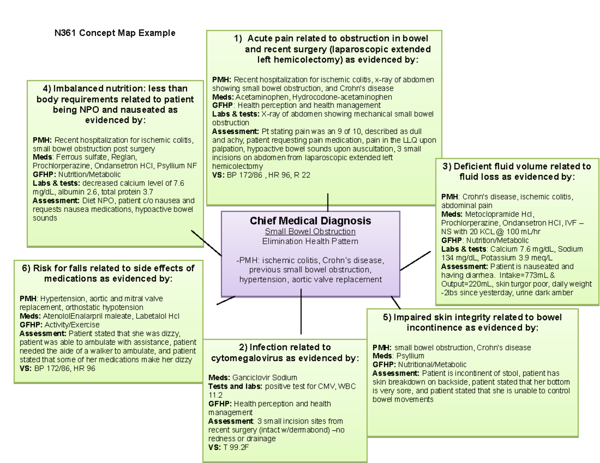 Concept Map Example 2 Identify And Develop Priority Nursing