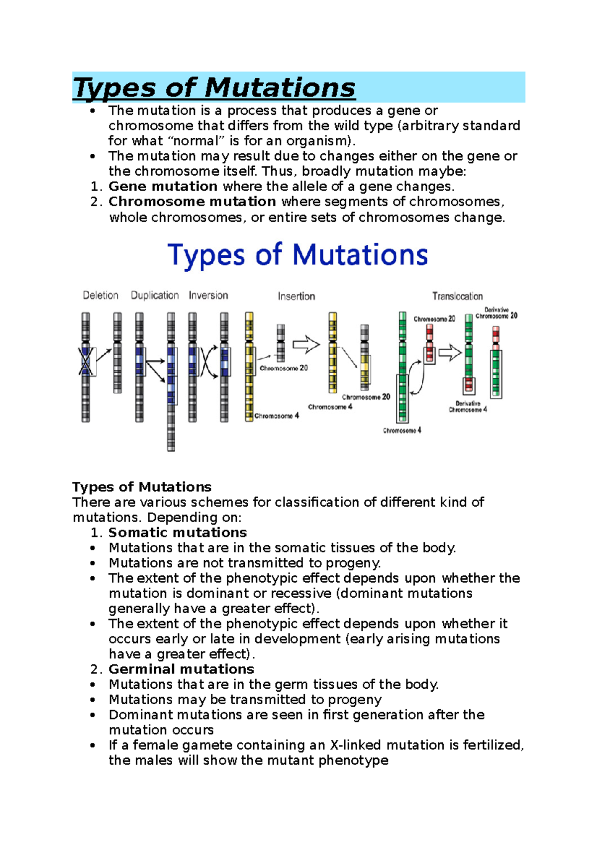 Types Of Mutations Mutation Basic Types Of Mutations The Mutation