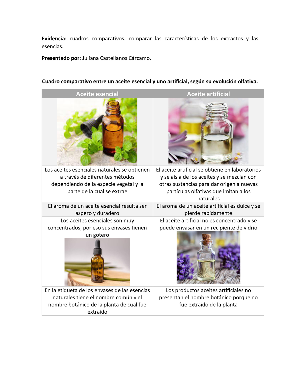 Evidencia Cuadros Comparativos Comparar Las Características De Los