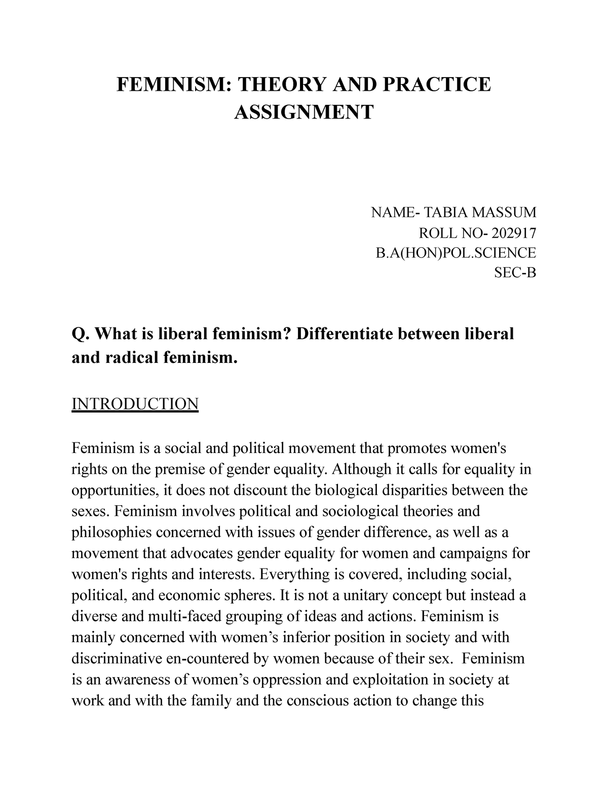 Feminism Assignment Feminism Theory And Practice Assignment Name