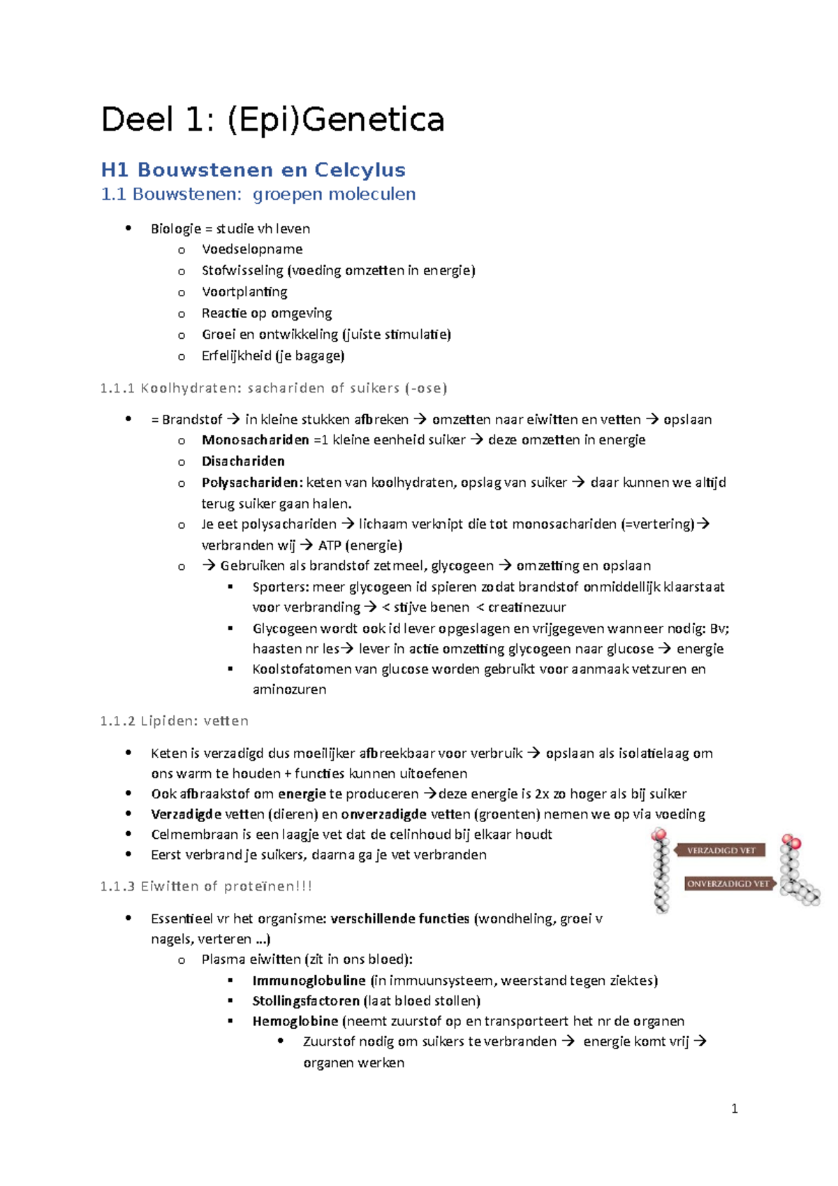 Samenvatting Bio Deel 1 Epigenetica H1 Bouwstenen En Celcylus 1