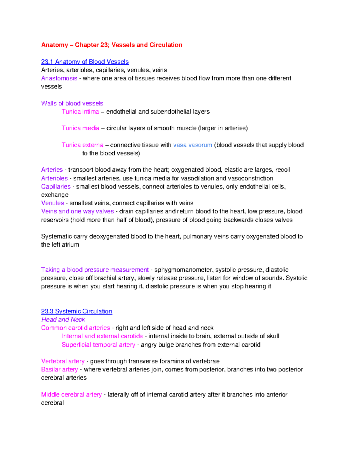 Chapter 23 Vessels And Circulation Anatomy Chapter Vessels And